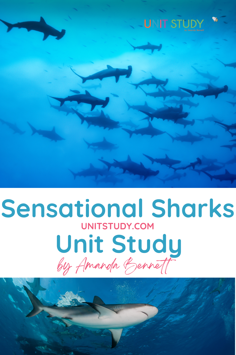 Sensational Sharks - UnitStudy