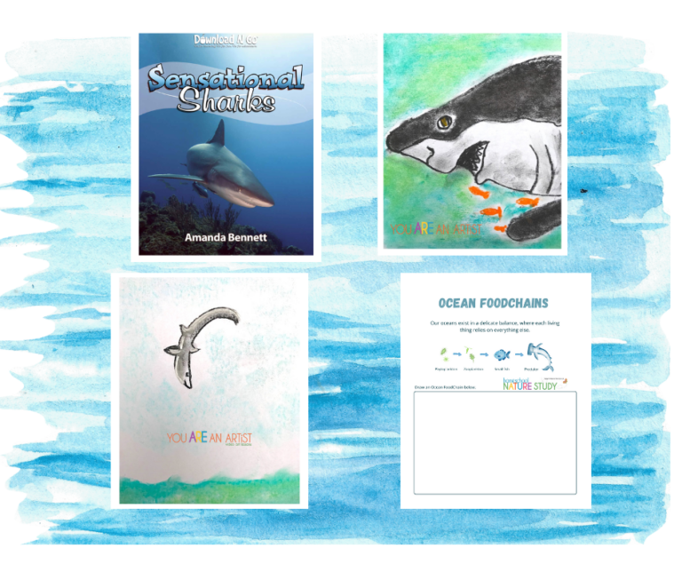 Sensational Sharks - UnitStudy