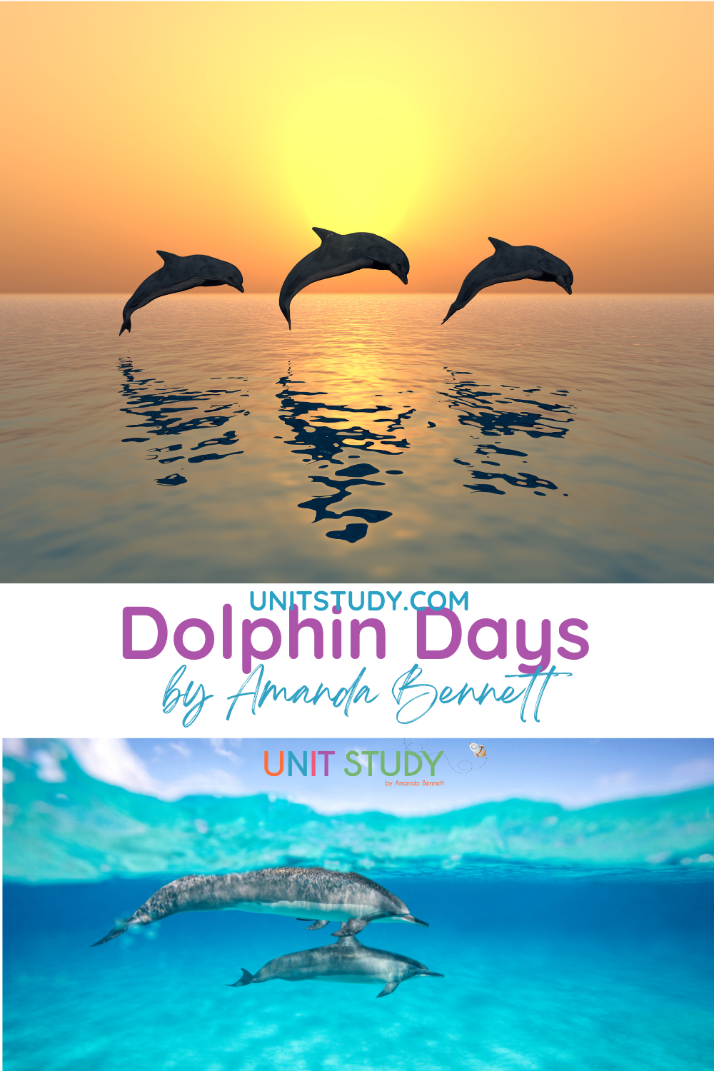 Dolphin Days - UnitStudy