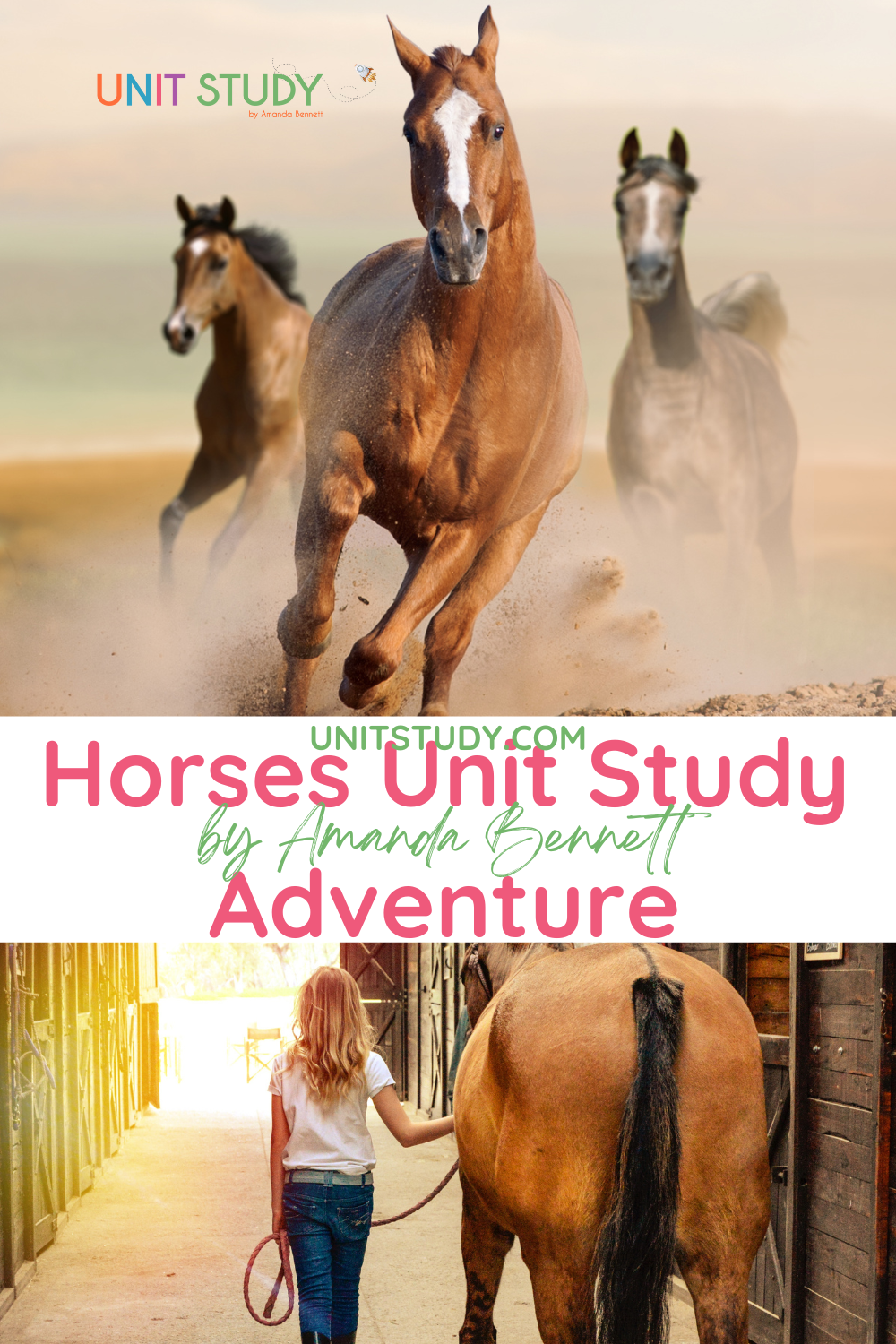 Horses - UnitStudy