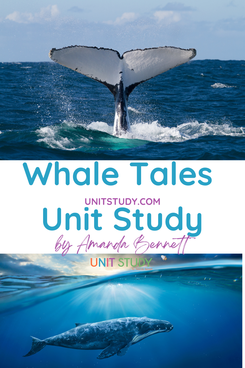 Whale Tales - UnitStudy