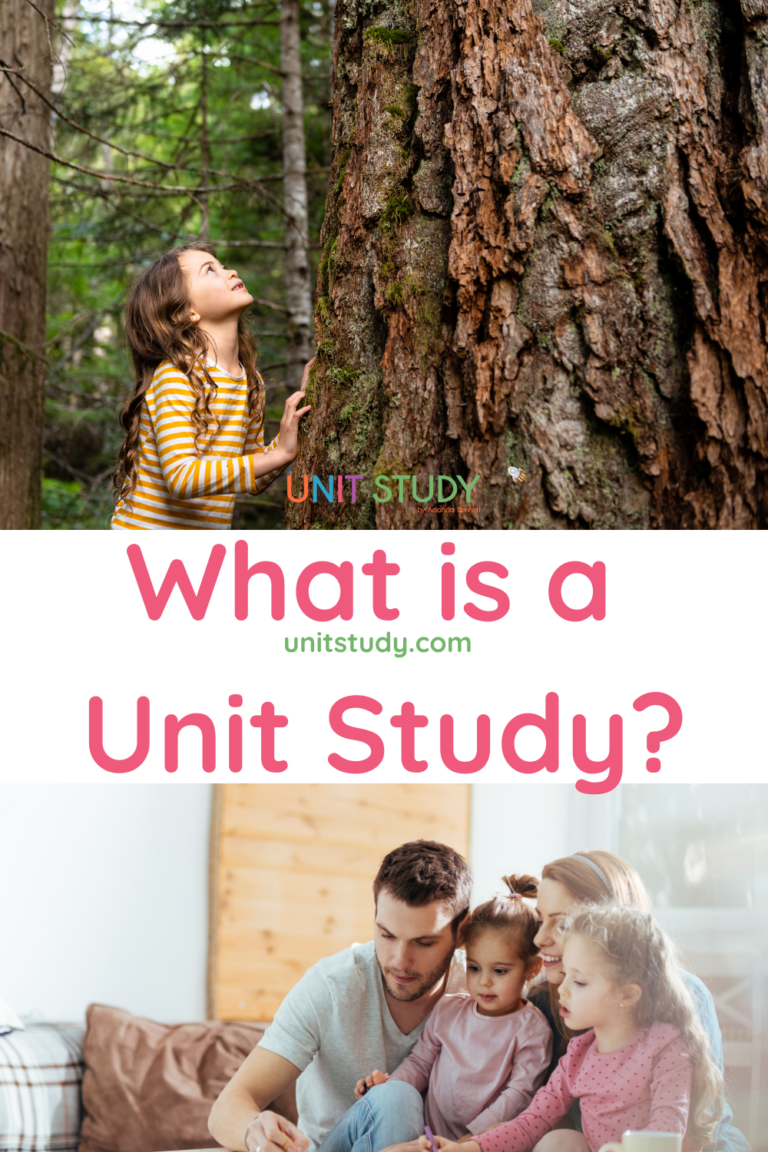 What Is A Unit Study? - UnitStudy