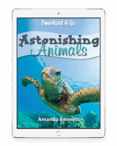 Astonishing Animals - UnitStudy
