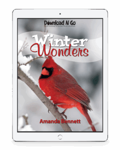Winter Wonders - UnitStudy
